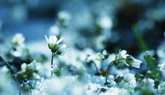 Spring in Rocky Mountain National Park